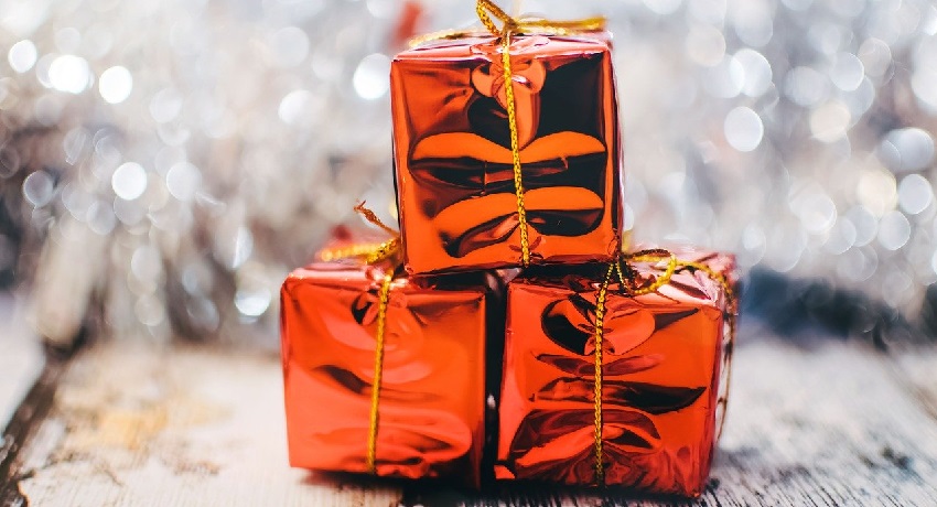 LamaPoll-Quiz & Platin-Gewinnspiel - Blog-LamaPoll